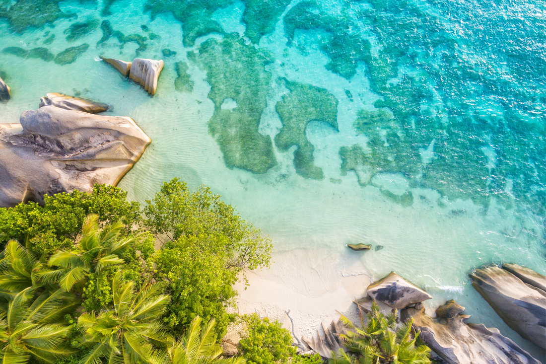 Genext Nutrition Dietary Supplements – ShopGenext.com